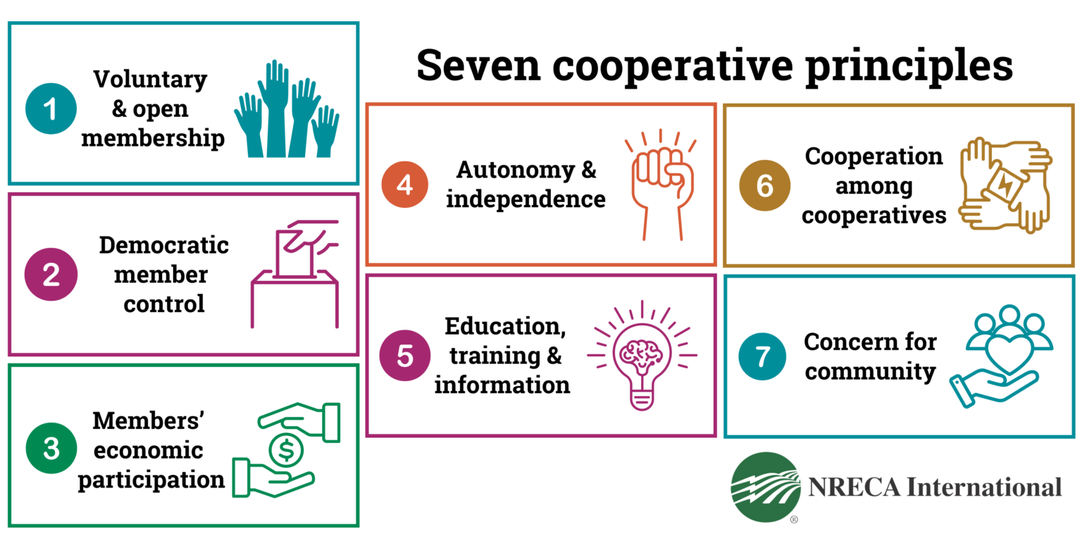 What is an electric cooperative? - NRECA International